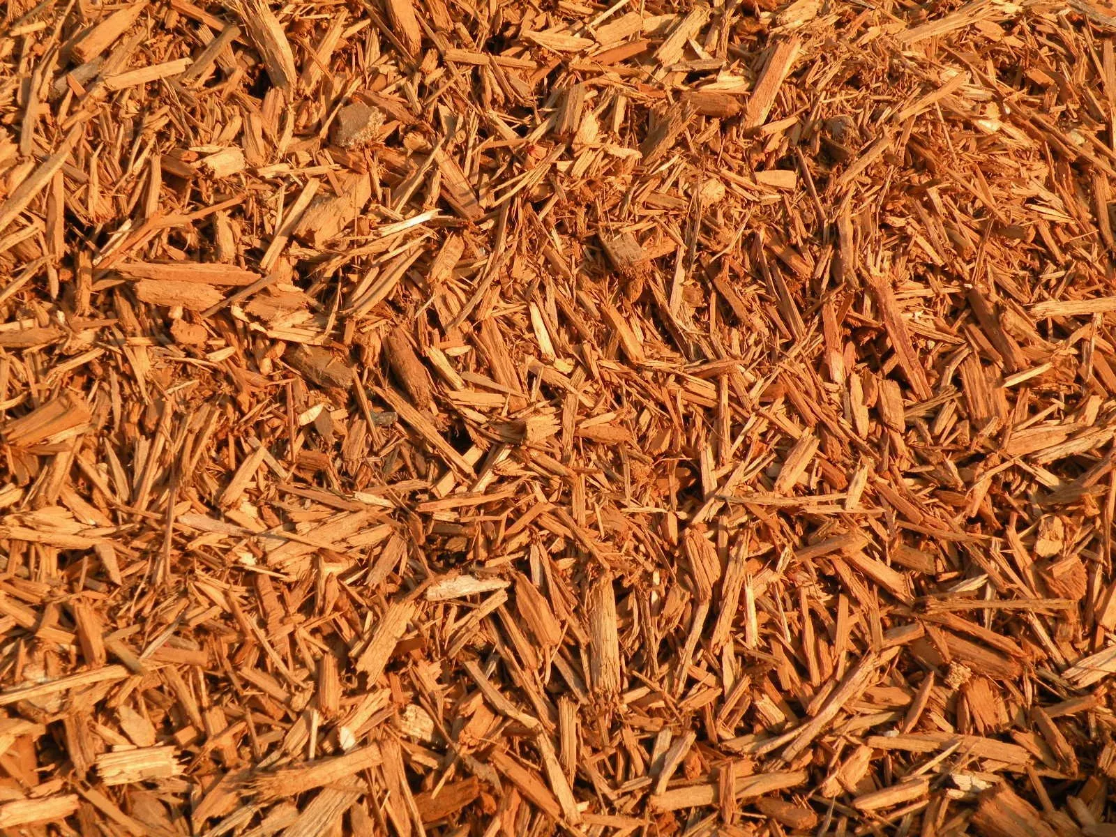 Gold Colored Mulch | Aggregate Markets